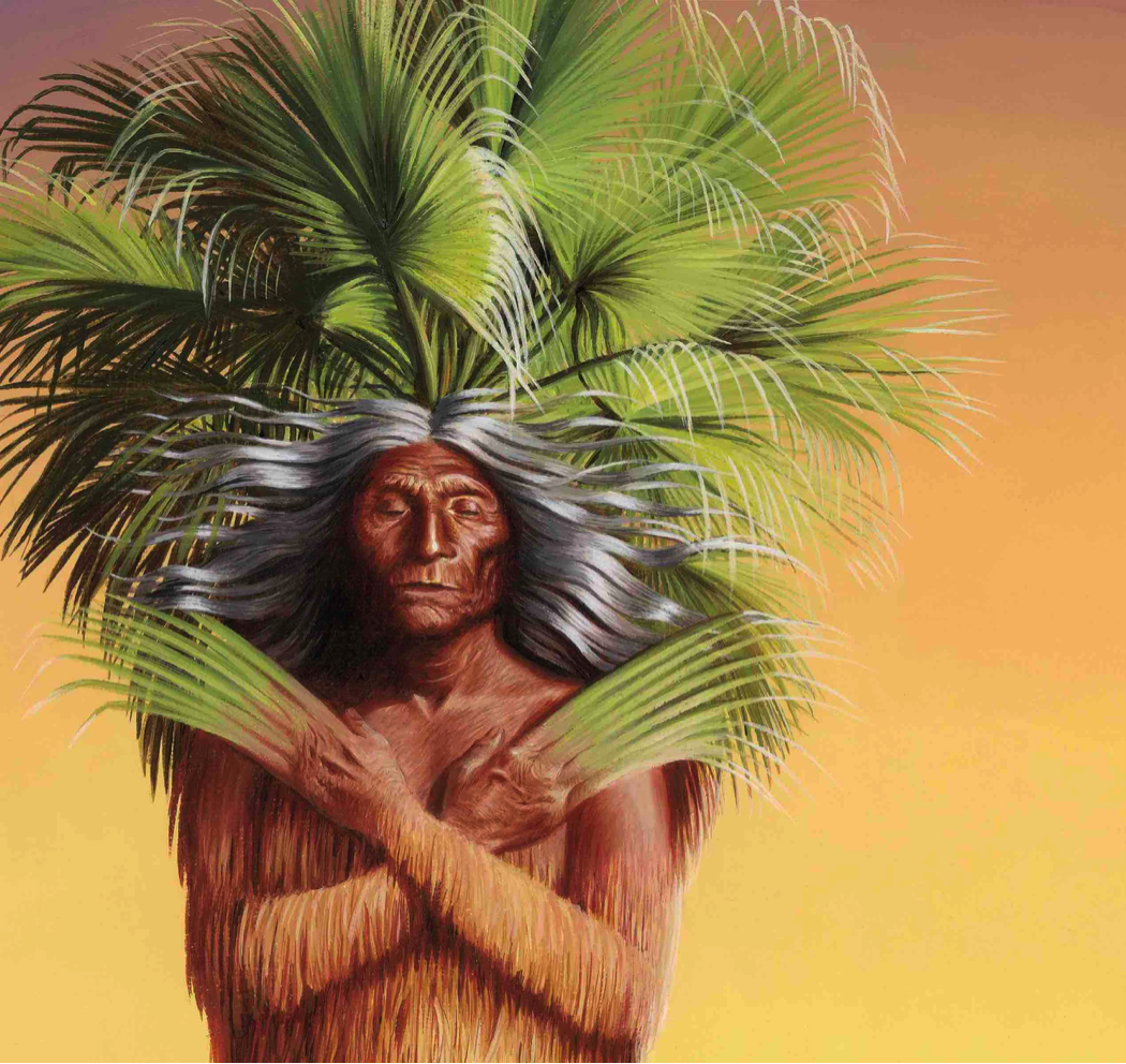 Agua Caliente Band of Cahuilla Indians – NAHC Digital Atlas